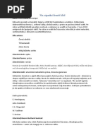 Havran - Rozbor K Maturitě | PDF