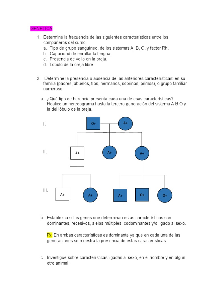Taller de Genética | PDF | Adn | Rna