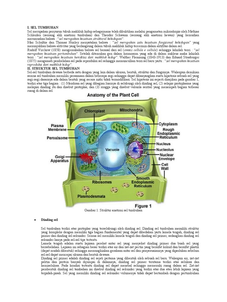 Bahan Bio | PDF | Griya & Taman