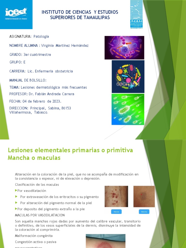 Manual de Bolsillo 2 | PDF | Piel | Especialidades Medicas