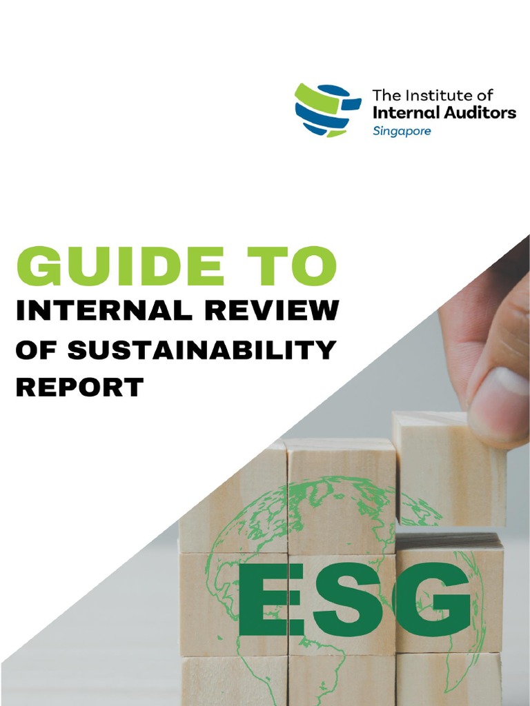 Internal Review Guide for Sustainability Reports | PDF | Internal Audit ...