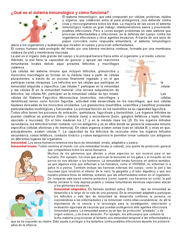 Qué Es El Sistema Inmunológico y Cómo Funciona | PDF | Sistema inmune ...