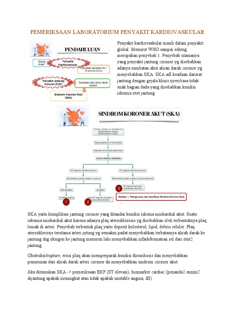 Pemeriksaan Laboratorium Penyakit Kardiovaskular | PDF