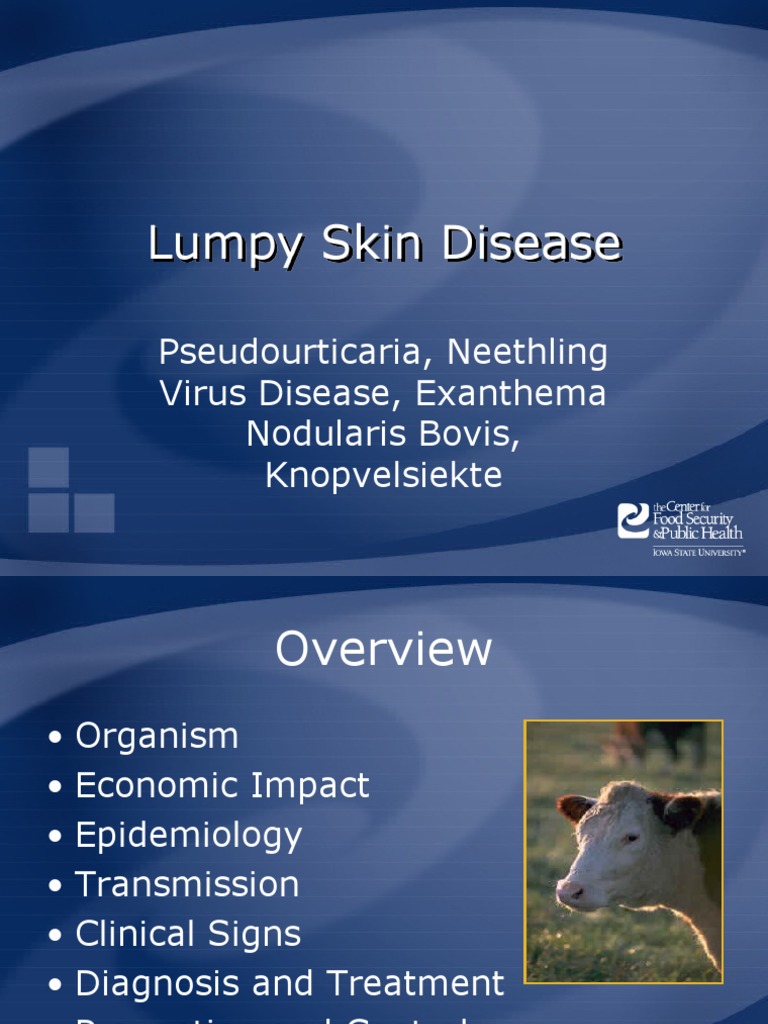 Lumpy Skin Disease | PDF | Medical Specialties | Clinical Medicine