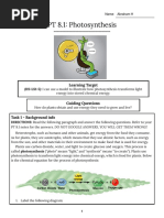 Floating Leaf Disk Photosynthesis Lab | PDF | Bicarbonate | Leaf