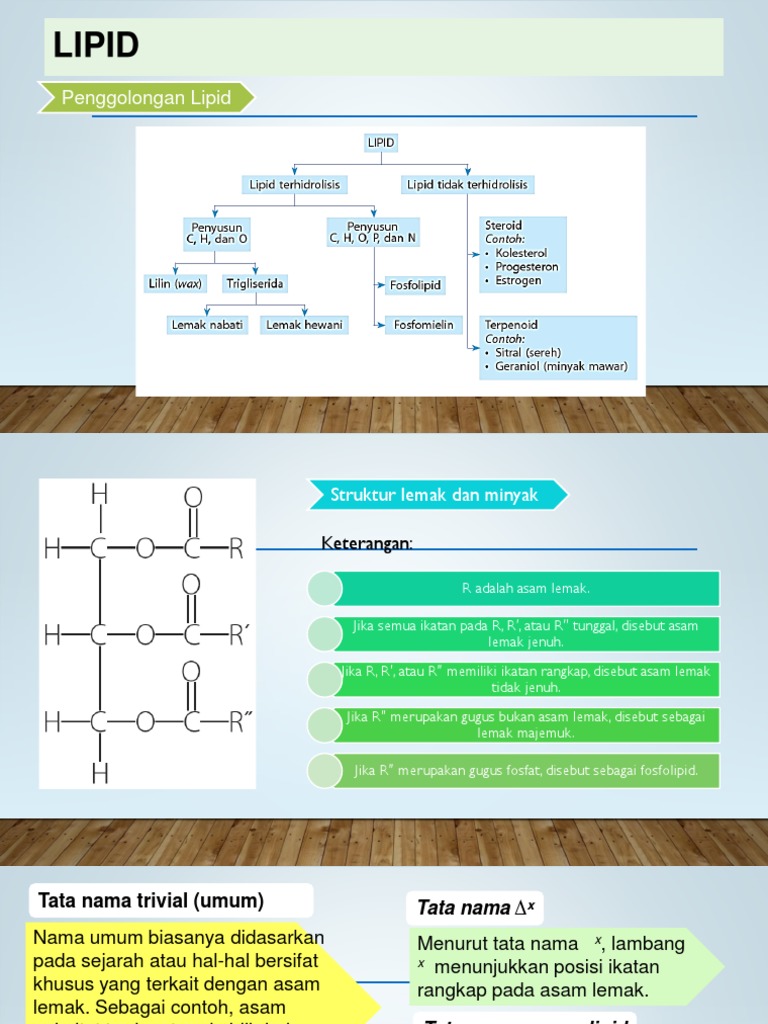 Penggolongan dan Struktur Lipid | PDF