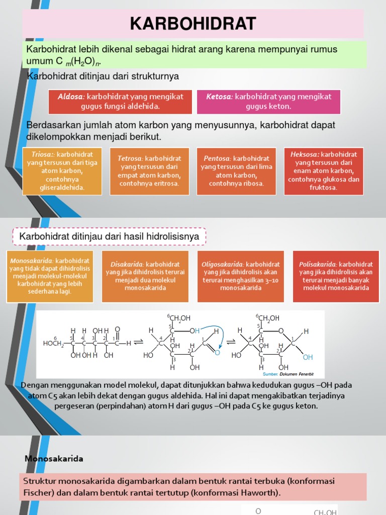 Makromolekul Karbohidrat PDF | PDF