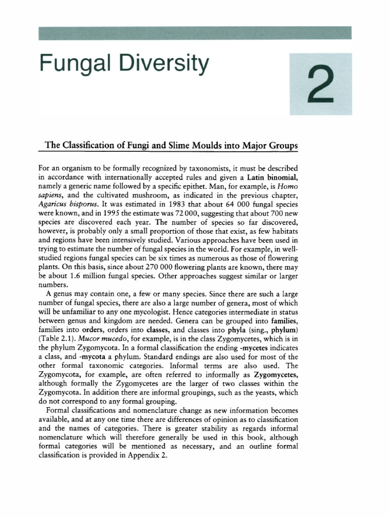 Fungal Diversity | PDF | Fungus | Biology