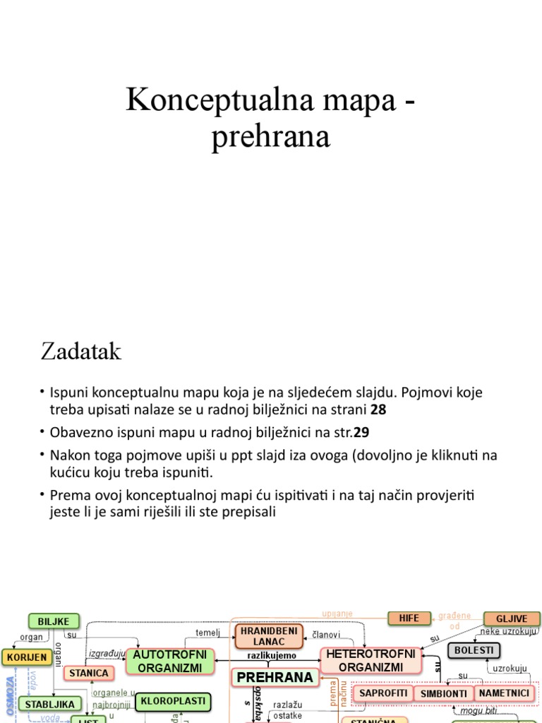 Konceptualna Mapa - Prehrana | PDF