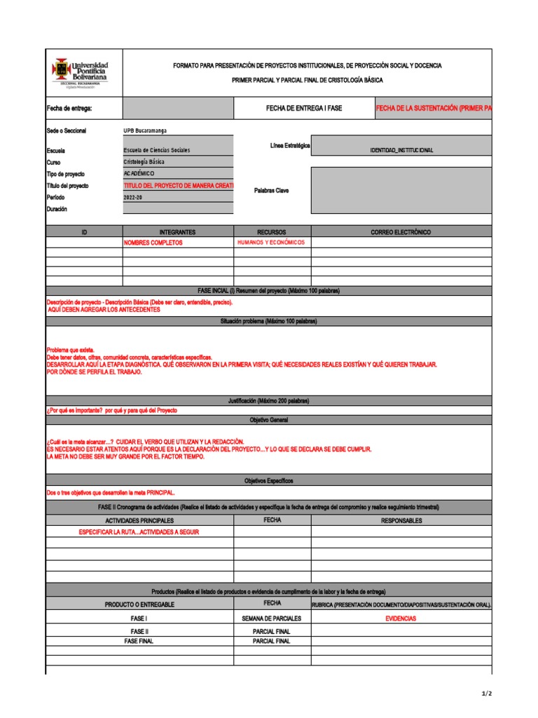Semana 6_FORMATO DE PROYECTOS.xls | PDF