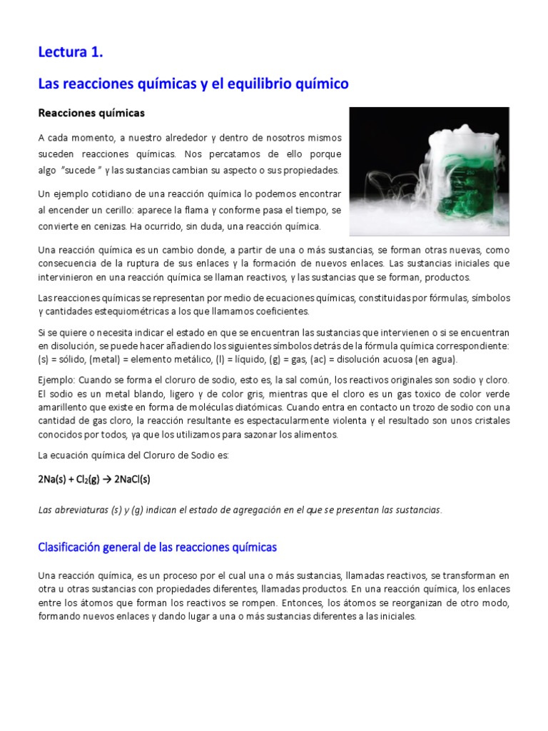 Reacciones Químicas y Equilibrio | PDF | Reacciones químicas | Digestión