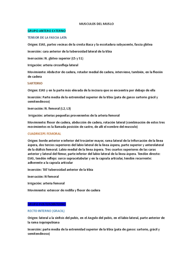 Anatomía de los Músculos del Muslo | PDF | Anatomía del miembro ...