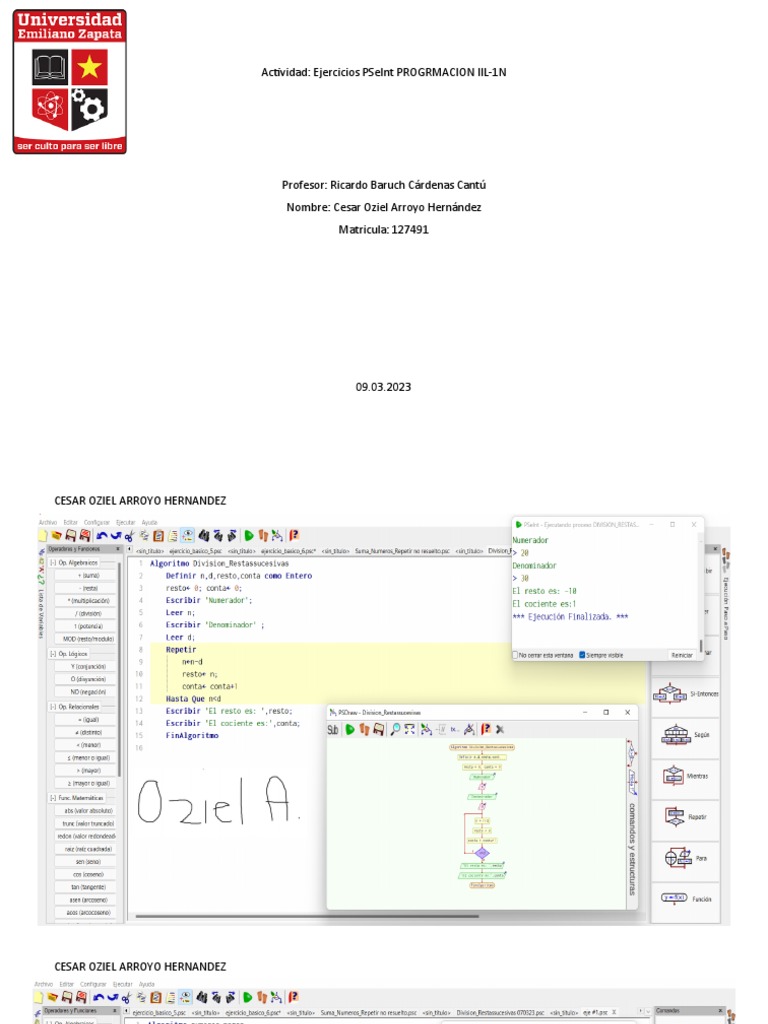Actividad 2. PSeInt | PDF