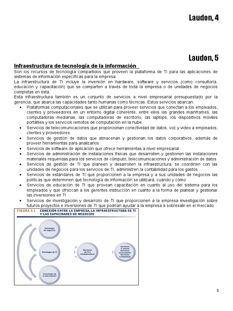 Resumen Laudon | PDF | Computación en la nube | Servidor (Computación)