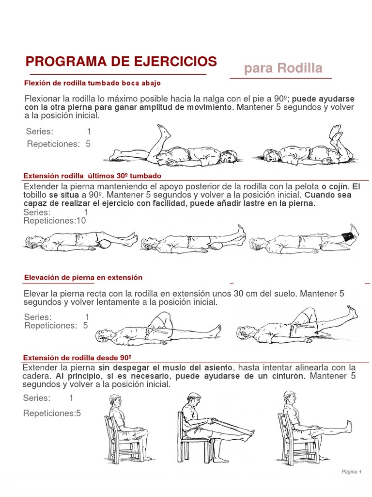 Rodilla Ejercicios PDF | PDF | Rodilla | Anatomía del miembro inferior