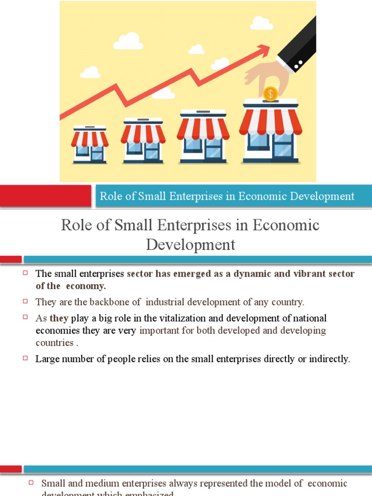 Small Enterprises in Economic Development | PDF | Small Business ...