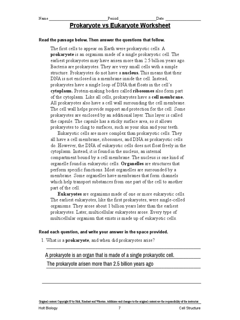 Prokaryote Vs Eukaryote Worksheet PDF | PDF | Cell (Biology) | Prokaryote
