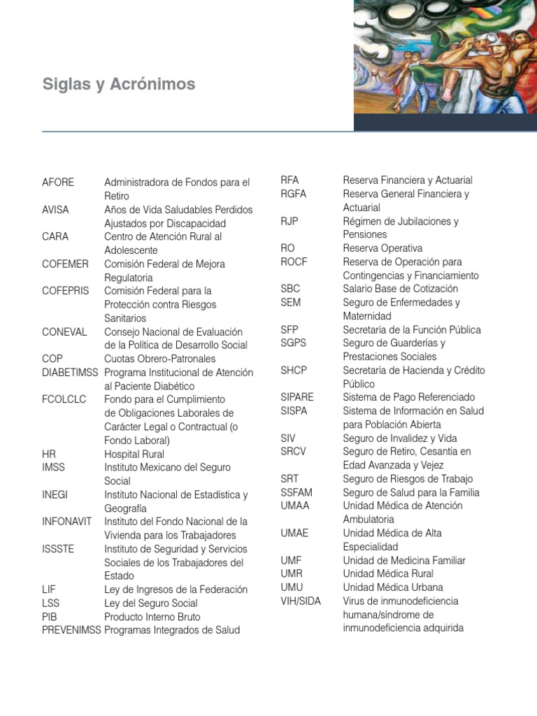 Siglas del IMSS y Otras Instituciones | PDF