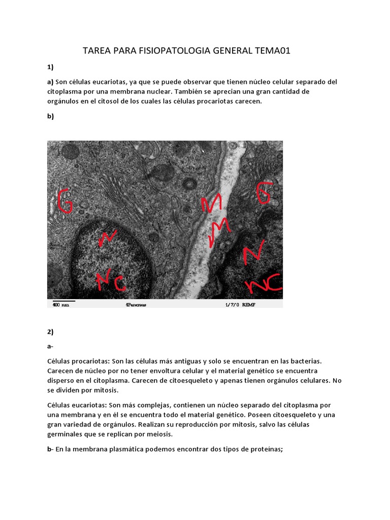 Gonzalez Iglesias Veronica FG01 Tarea | PDF