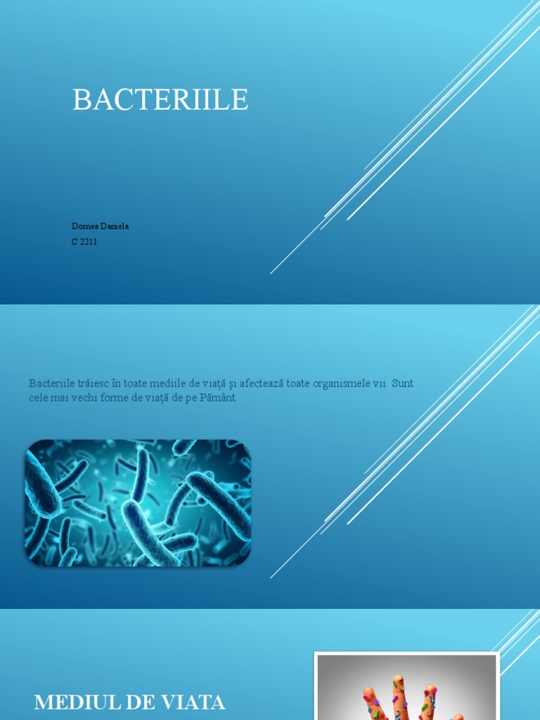Bacteriile | PDF