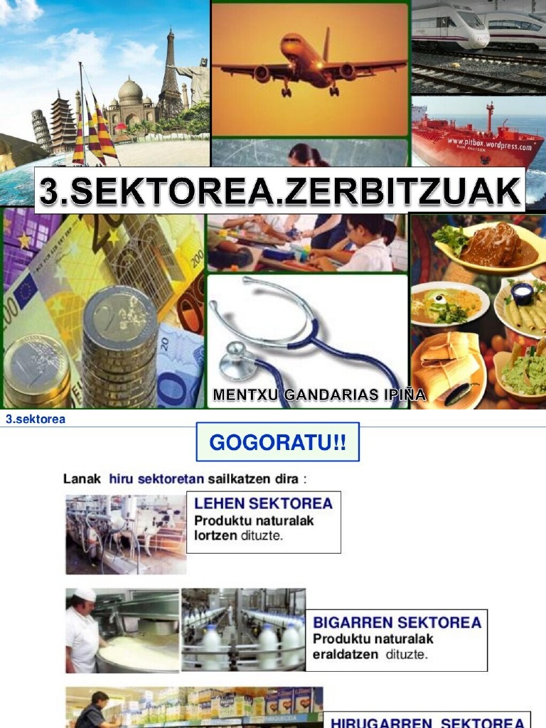 Hirugarren Sektorea Gaia | PDF