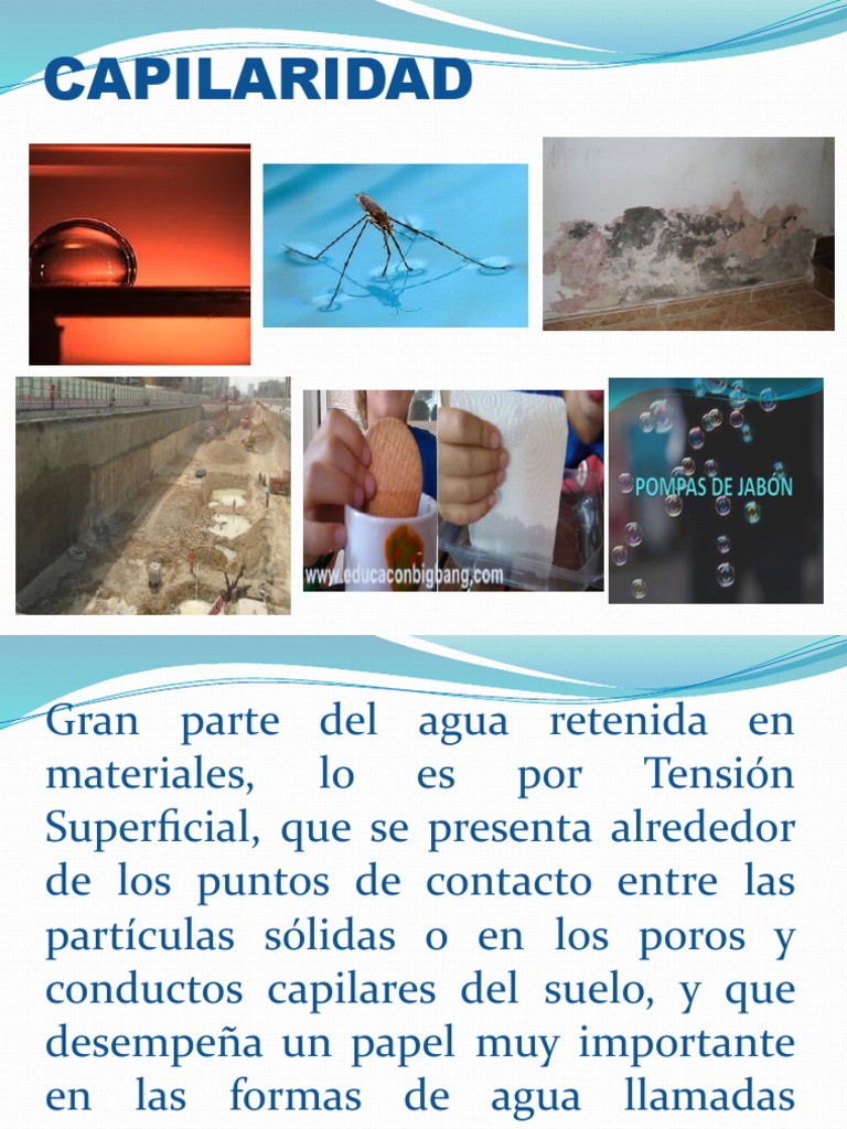Clase de Capilaridad | PDF | Tensión superficial | Agua
