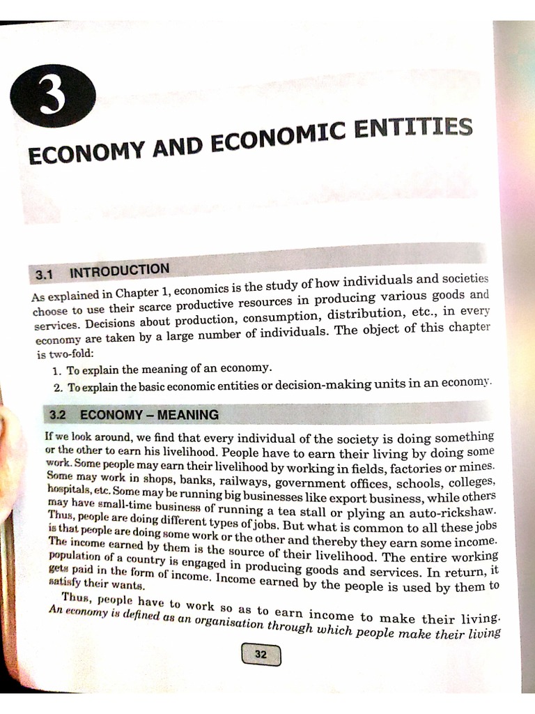 Economy and Economic Entities PDF | PDF