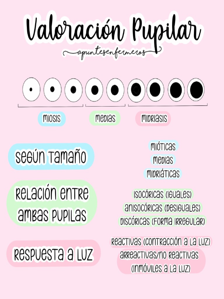 Valoracion Pupilar @APUNTESENFERMEROS PDF | PDF