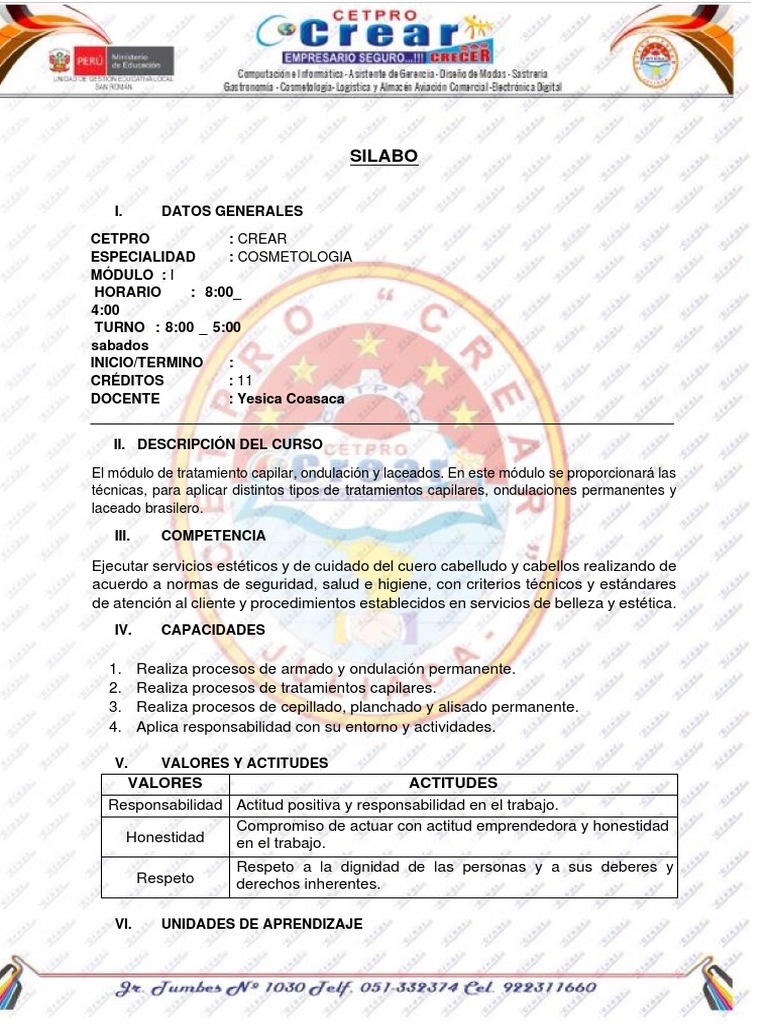 Silabo Modulo I PDF | PDF