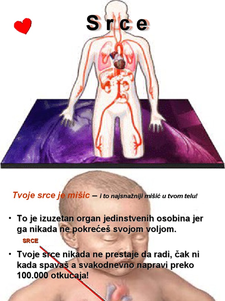 Srce I Krvni Sudovi Natasa Jovanov | PDF