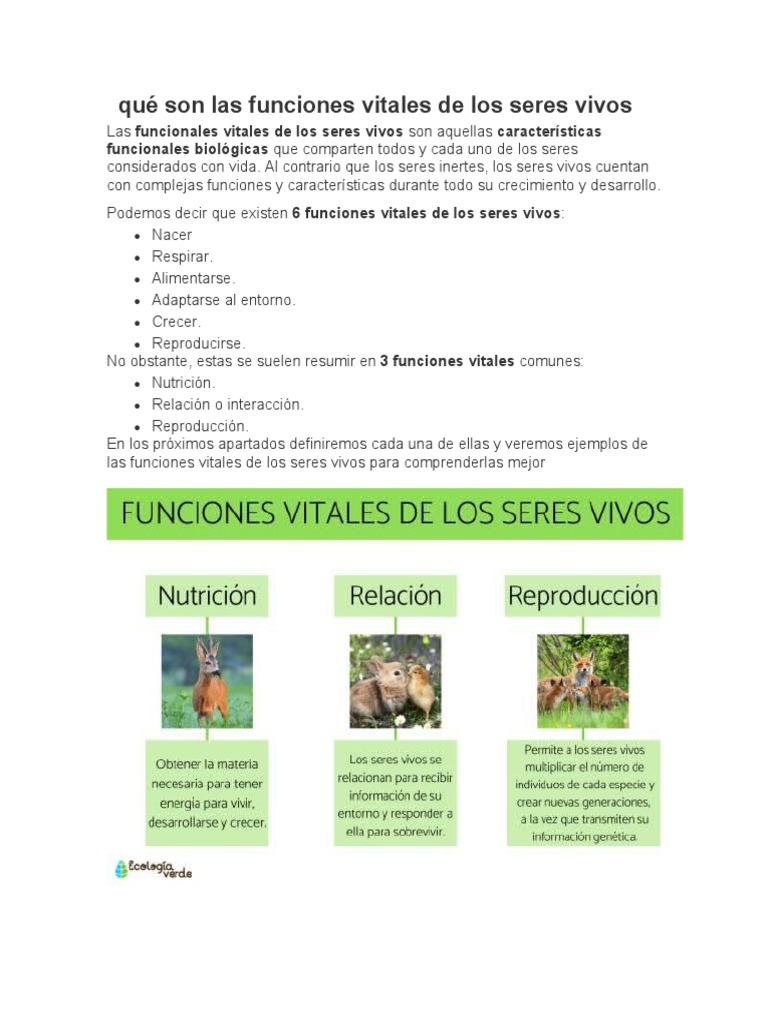 Qué Son Las Funciones Vitales de Los Seres Vivos | PDF