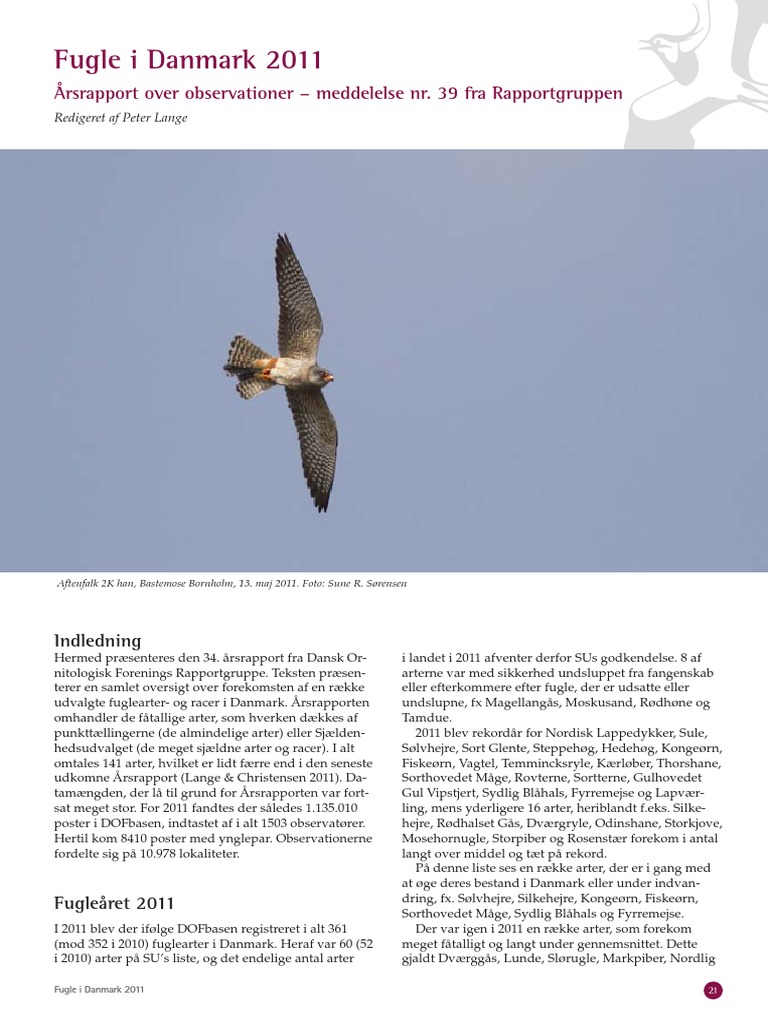 Fugle - I - Danmark 2011 | PDF