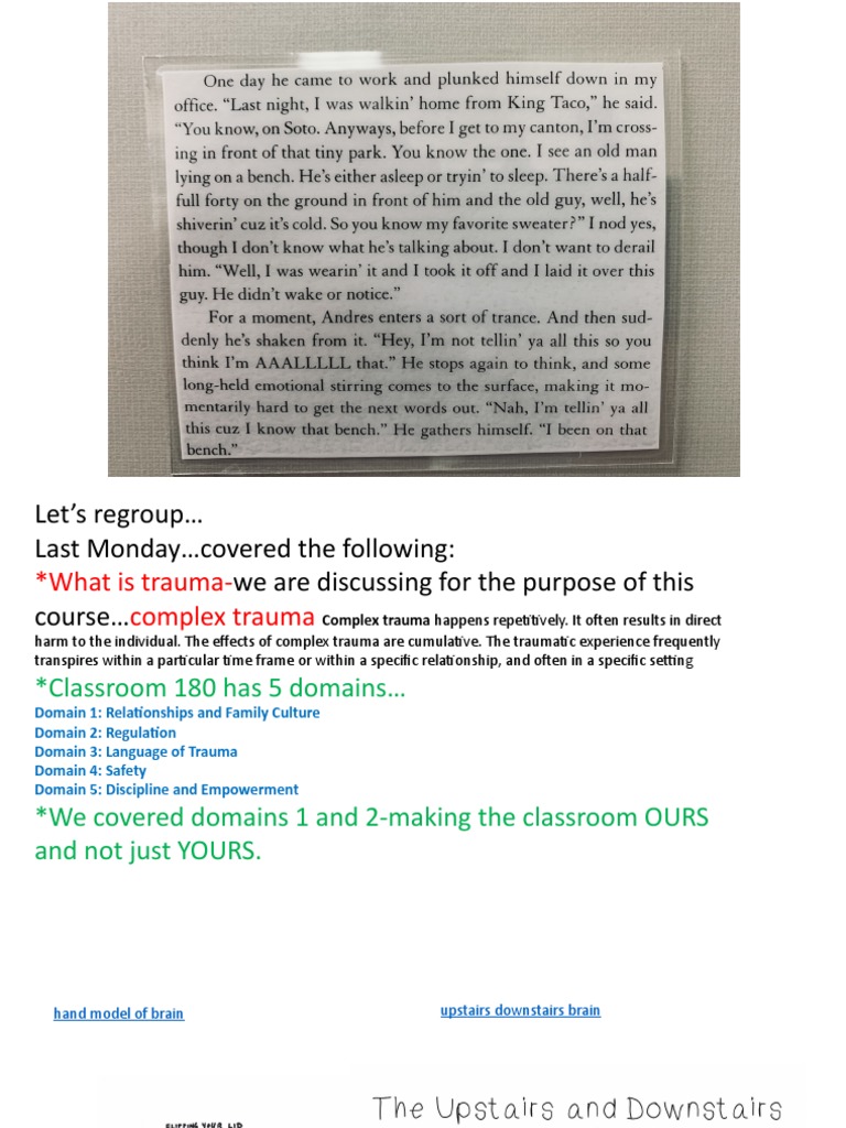 Classroom 180 Domain 3 | PDF | Psychological Trauma | Nonverbal ...