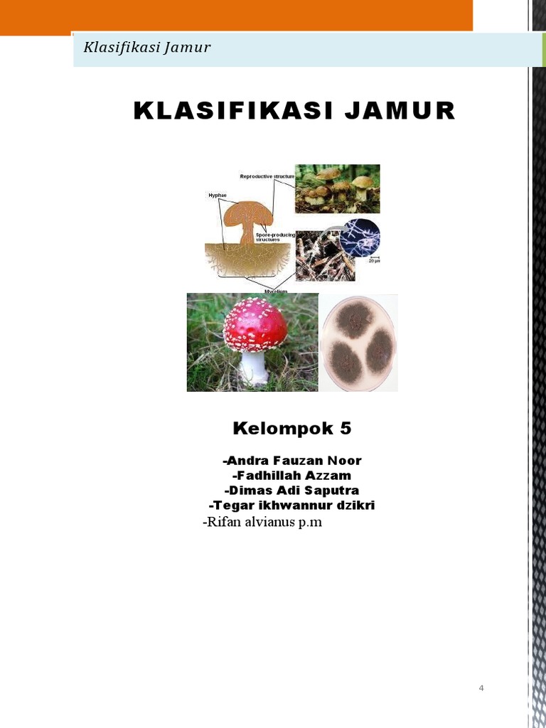 PPM 2012 Klasifikasi Jamur | PDF