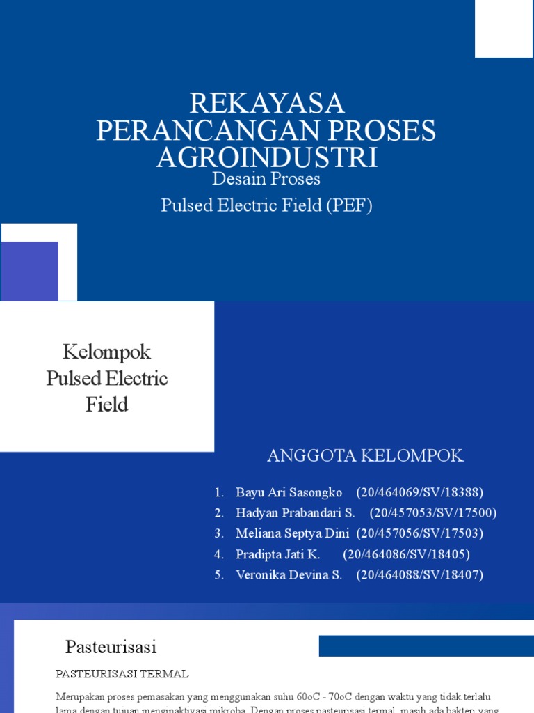 Pulsed Electric Fields (PEF) 1 | PDF