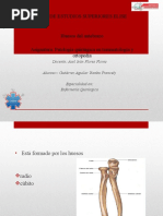 Rafi de Húmero Con Placa y Tornillo | PDF | Tornillo | Especialidades ...