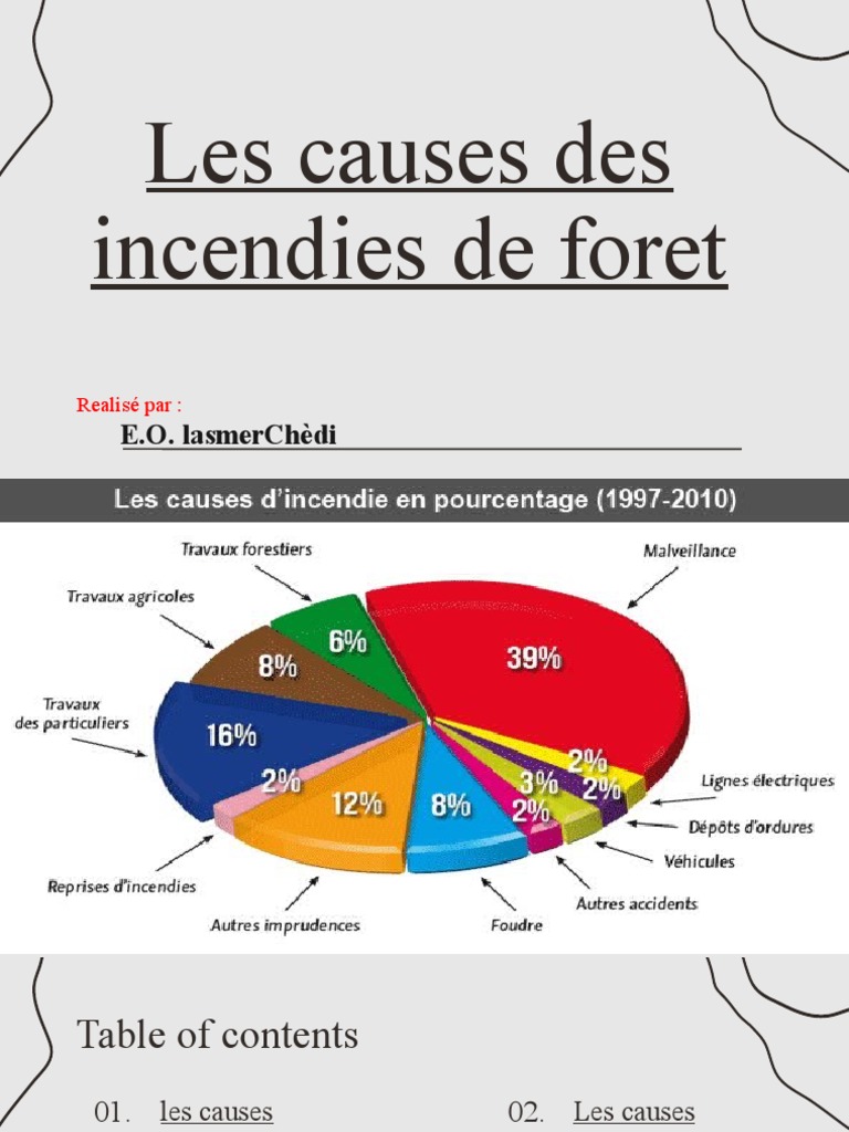 Causes des incendies de forêt | PDF | Feu de forêt | Forêt