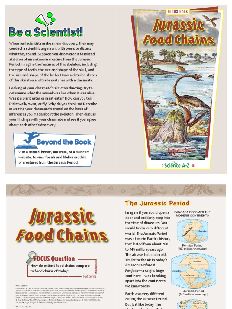 Food Chains 5-6 Focus Book Jurassicfoodchains | PDF | Dinosaurs | Predation