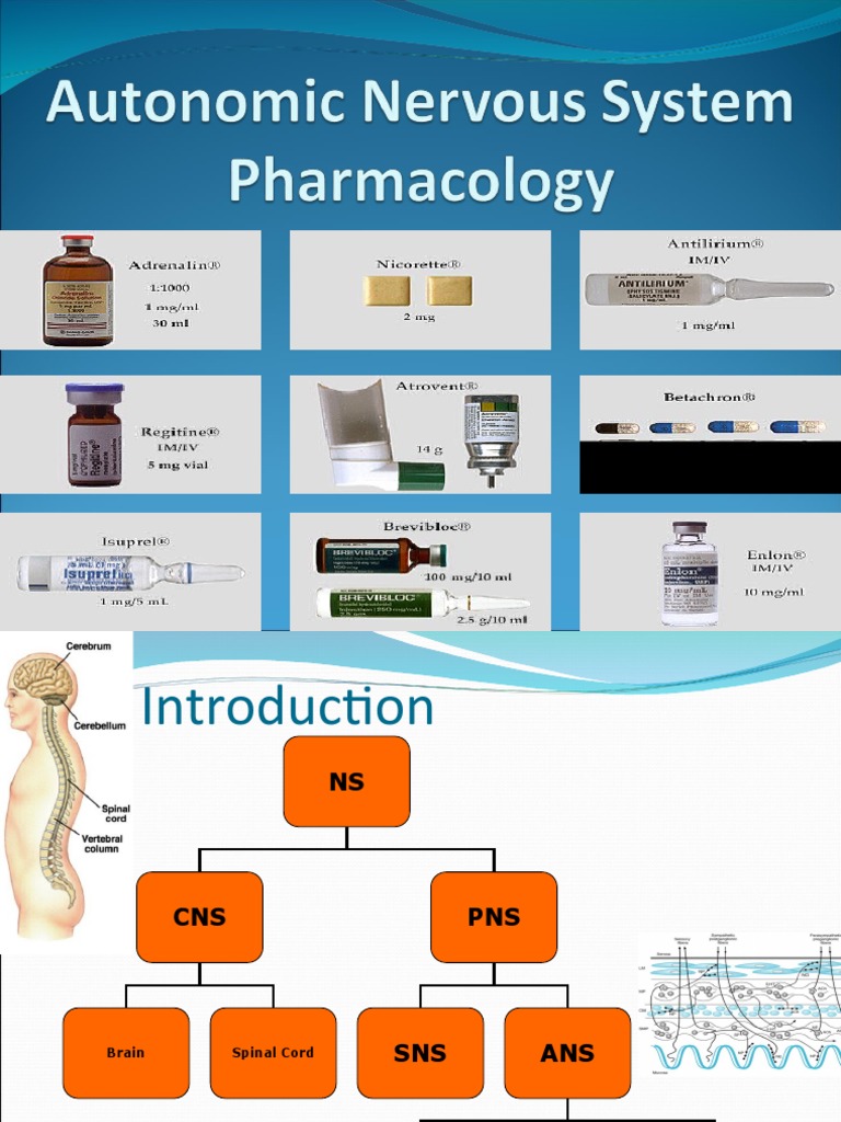 Introduction To ANS Pharmacology | PDF | Acetylcholine | Neurotransmitter