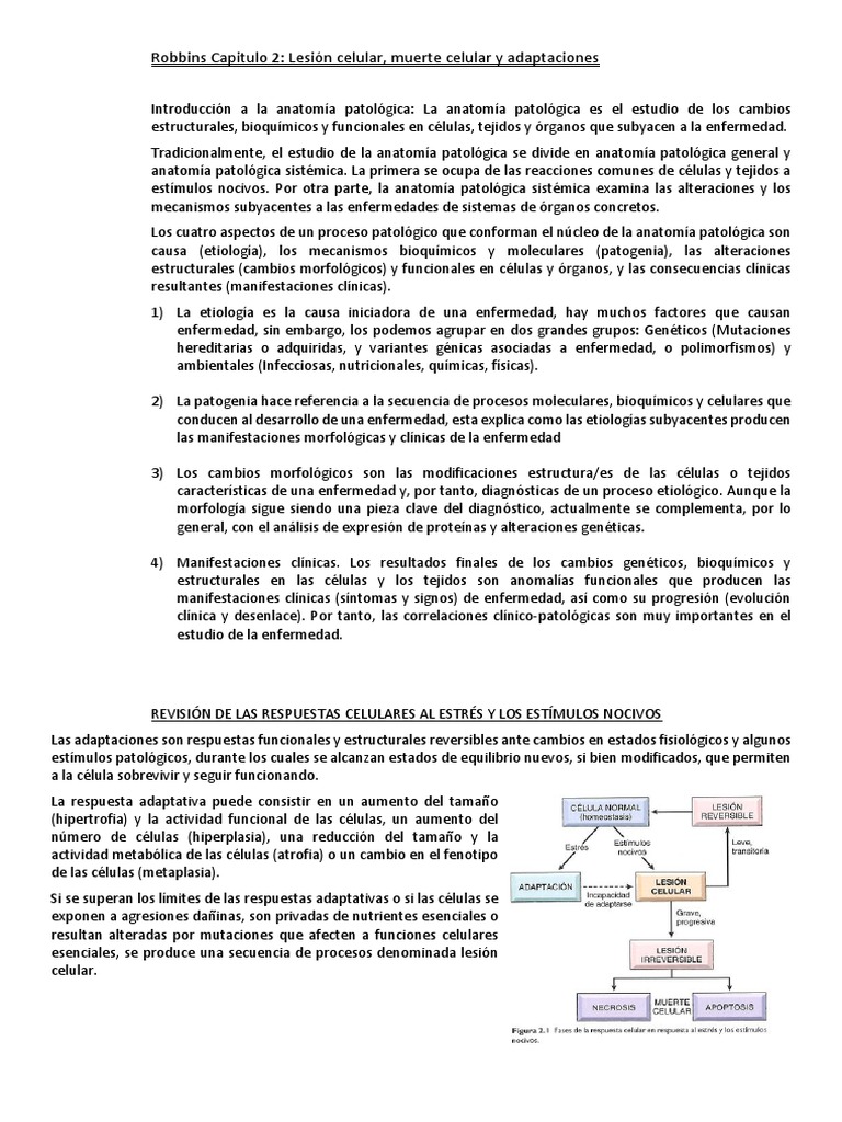 Robbins Capitulo 2 - BWA | PDF | Apoptosis | Biología Celular)