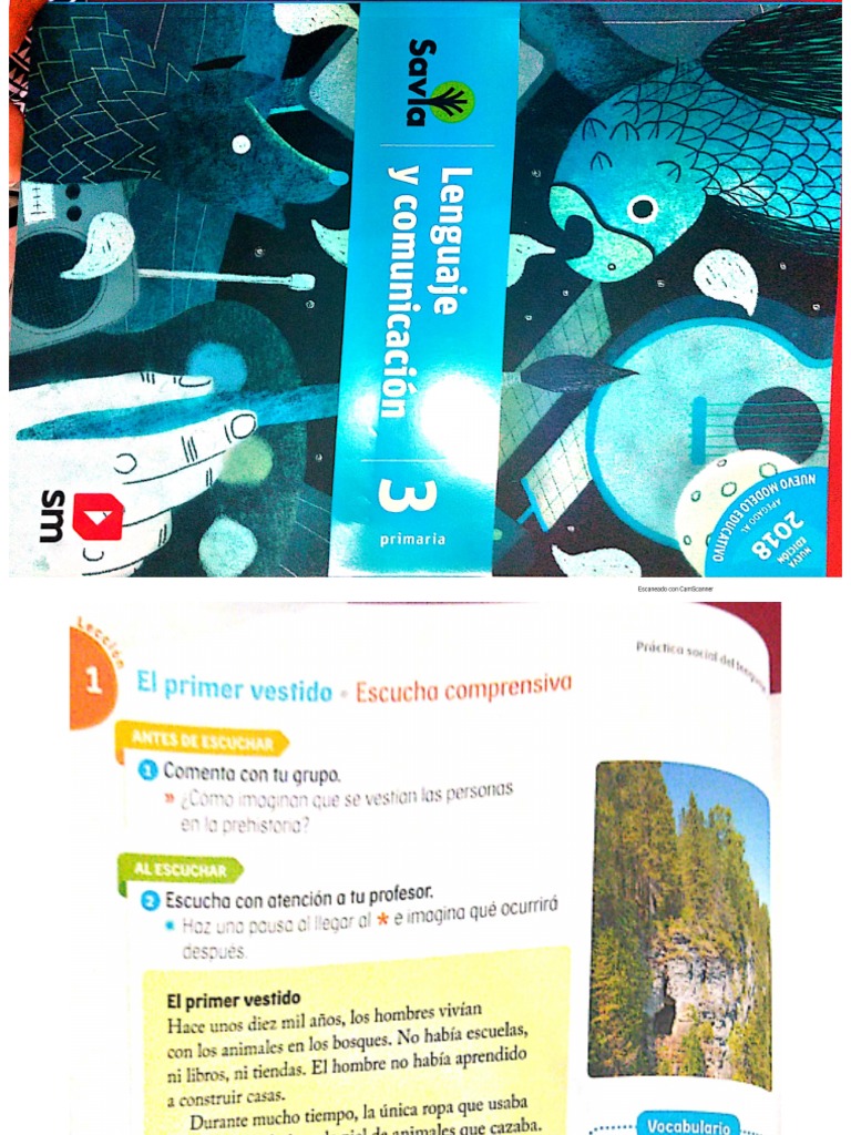 3 Lenguaje y Comunicacion PDF | PDF 3 Lenguaje y Comunicacion PDF | PDF
