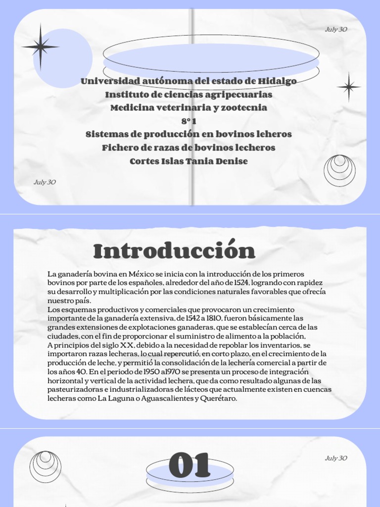 CITD - Razas de Bovinos Lecheros | PDF | Vacas | Leche