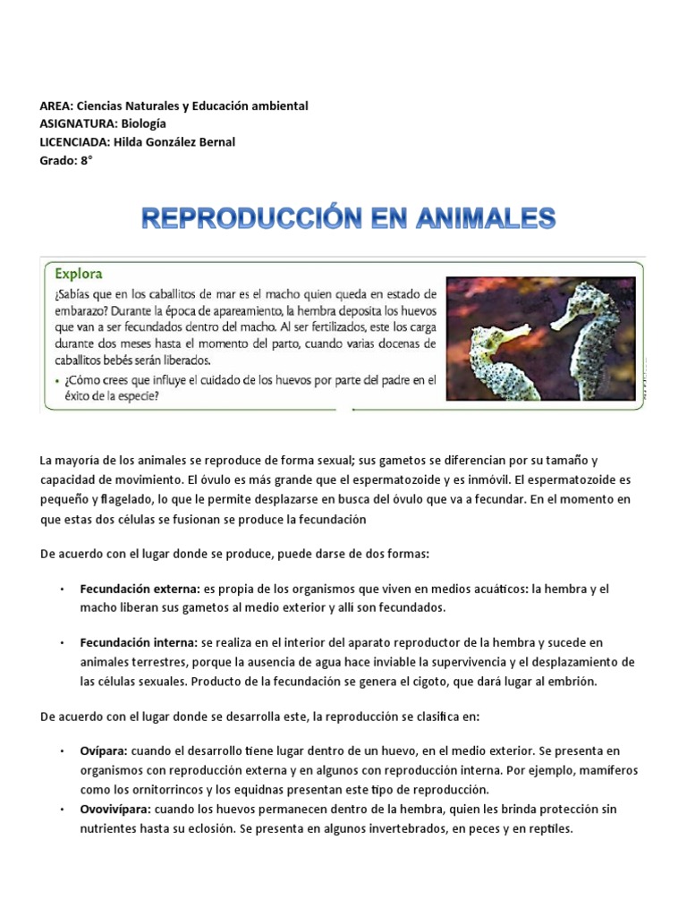 Guia+4 +La+reproduccion+Animal | PDF | Reproducción | Huevo