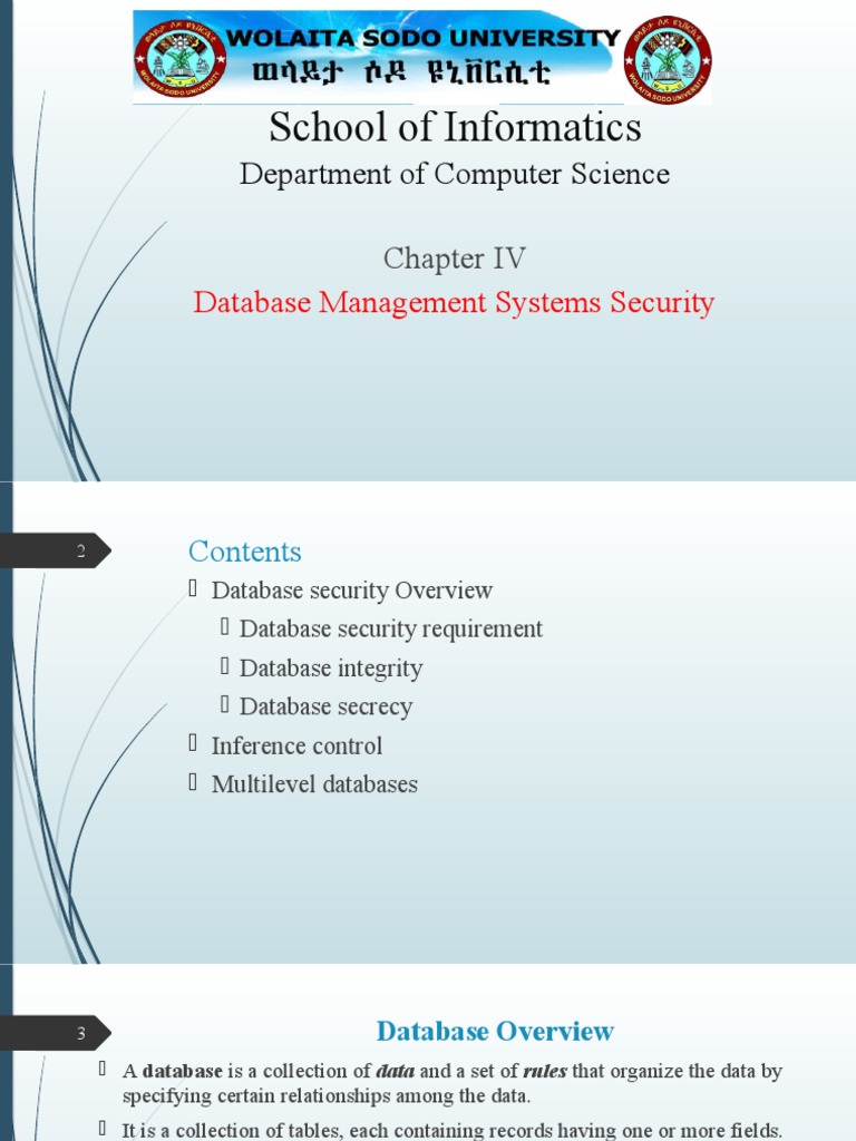 Chapter IV Computer Security | PDF | Databases | Security