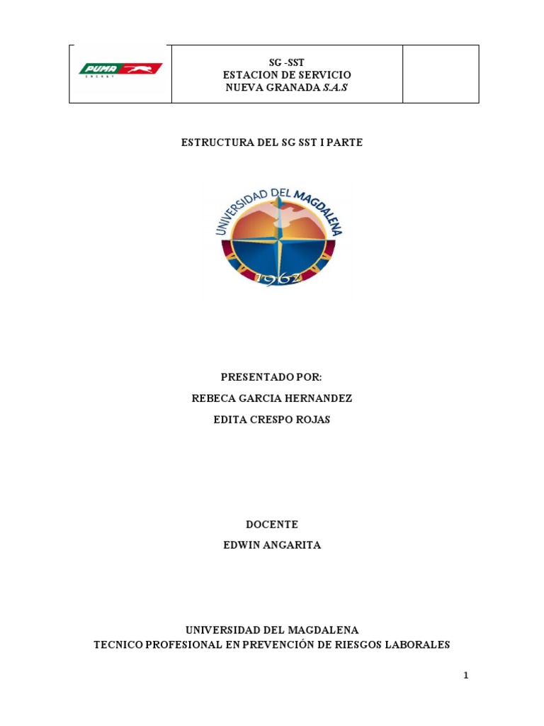 ESTRUCTURA DEL SG SST 1 PARTE Parte 2 | PDF | Riesgo | Seguridad y salud ocupacional