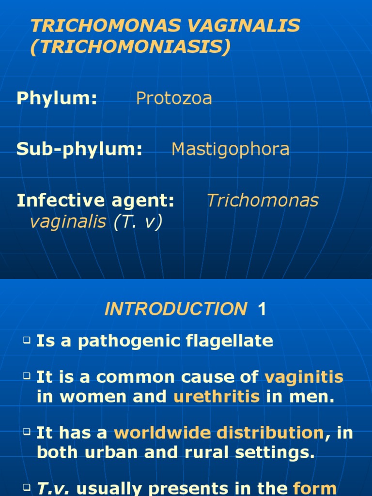 Trichomoniasis: Causes, Symptoms & Treatment | PDF | Vagina | Medicine
