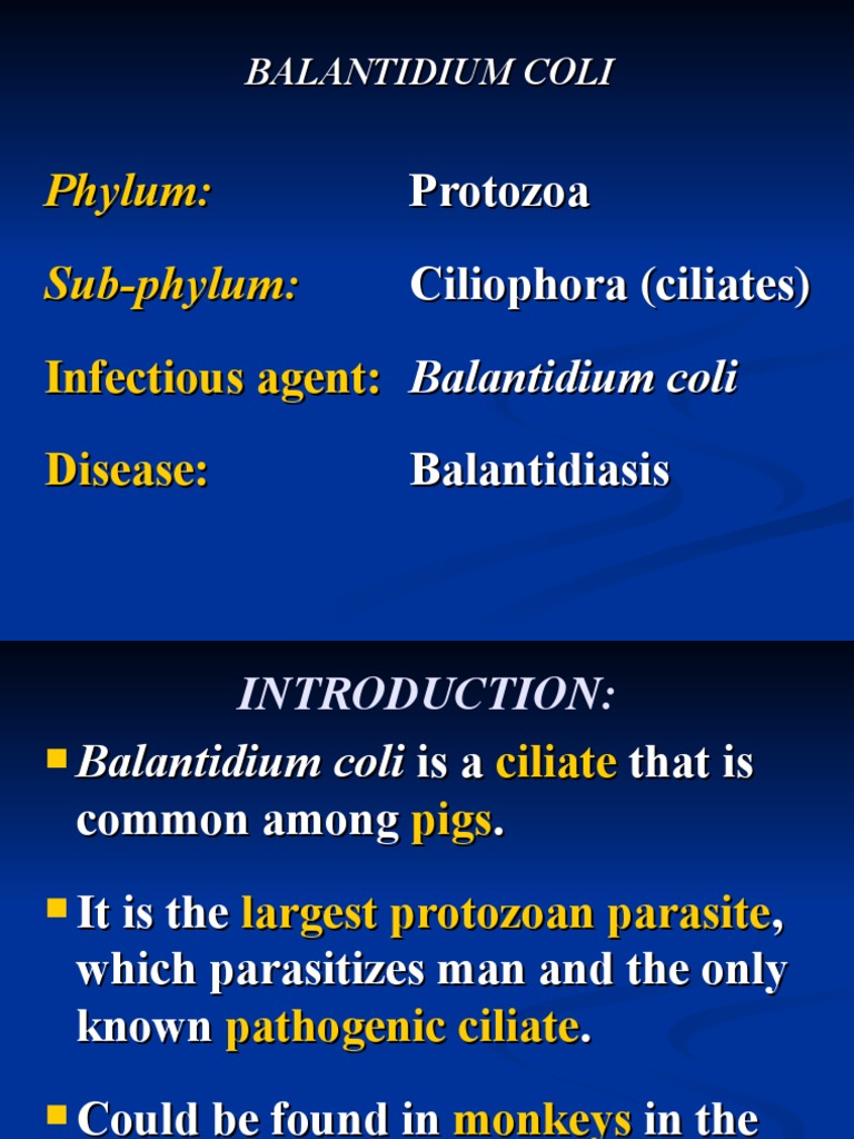 3.balantidium Coli | PDF | Medical Specialties | Public Health