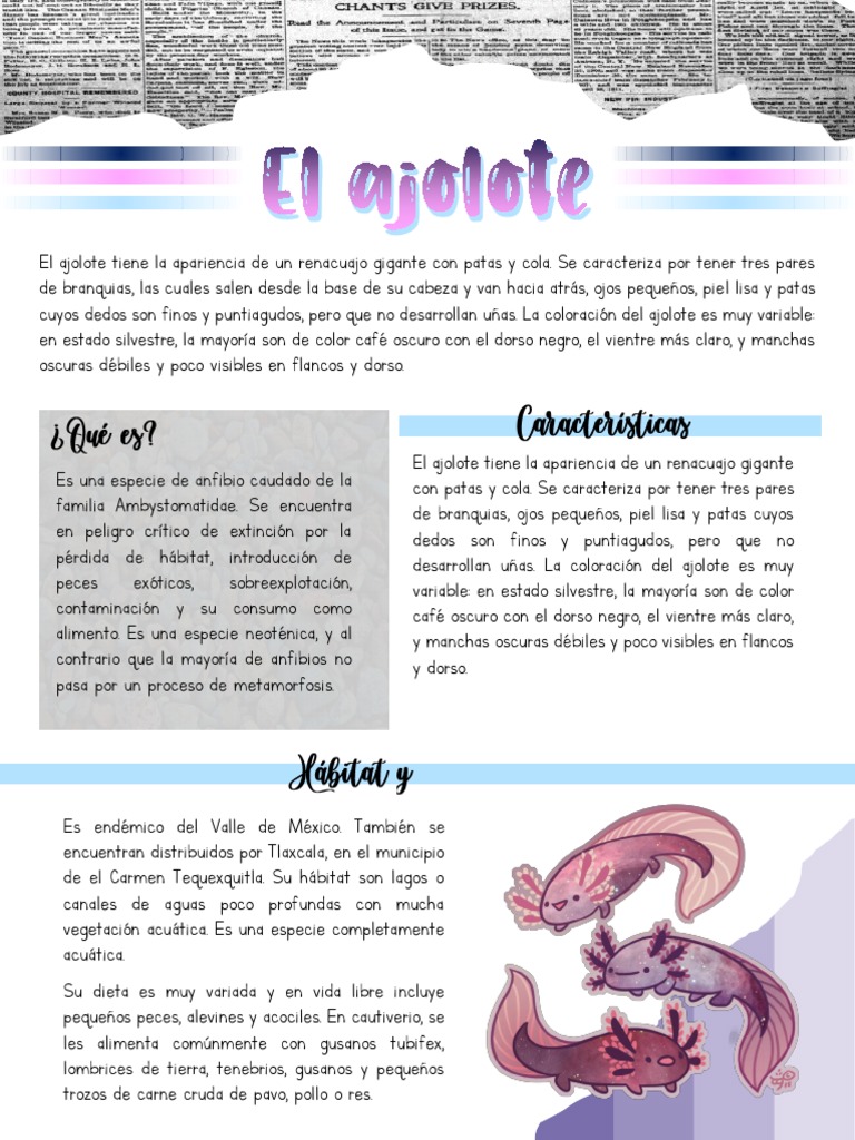 El Ajolote | PDF
