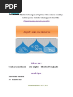 Osmose Inverse : Concepts et Schémas | PDF | Osmose | Opération unitaire