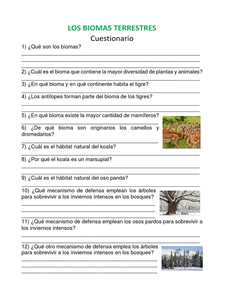 2doBIO A. LOS BIOMAS TERRESTRES. Cuestionario PDF | PDF